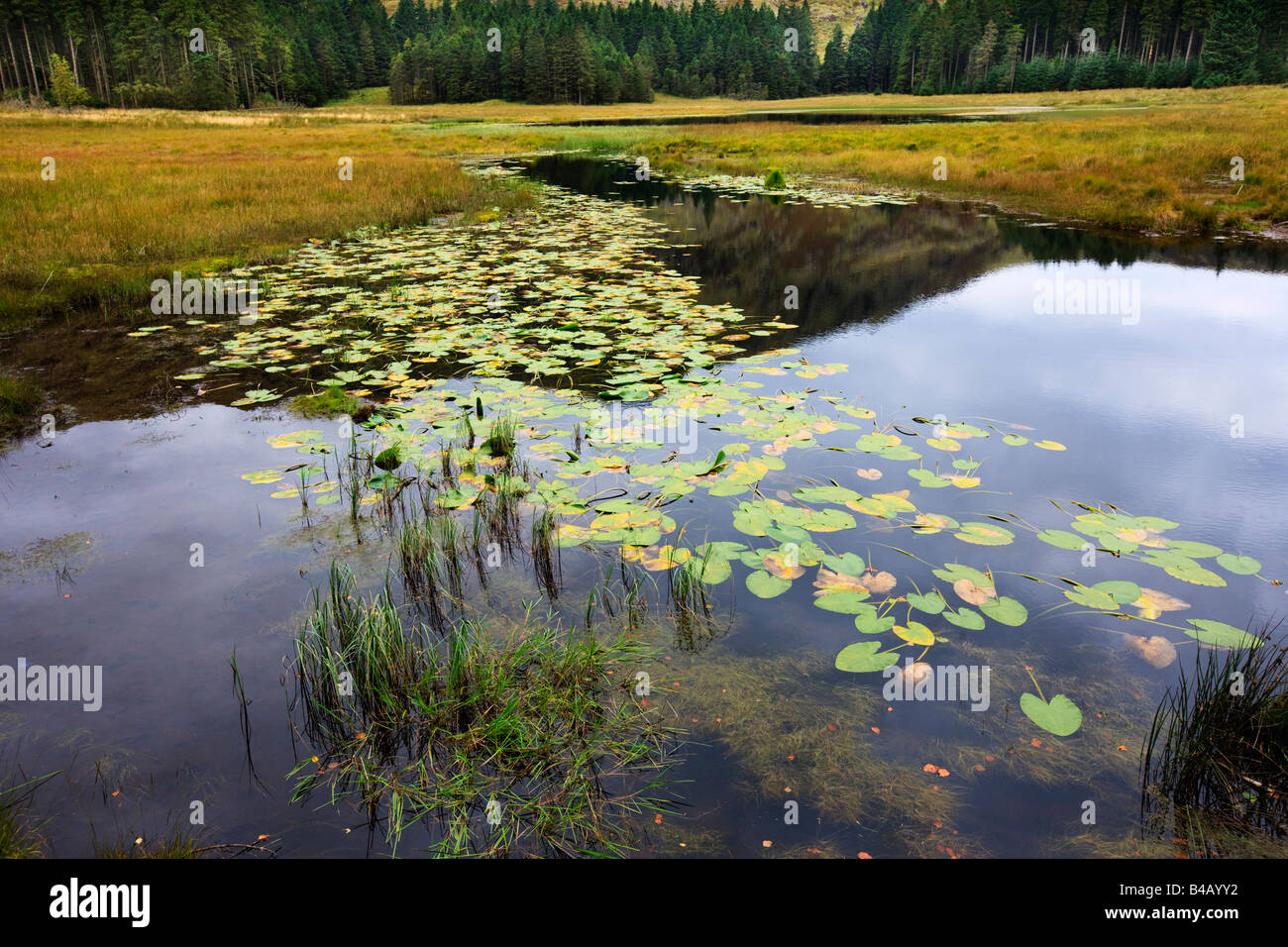 Thirlmere in the lake district hi-res stock photography and images - Alamy