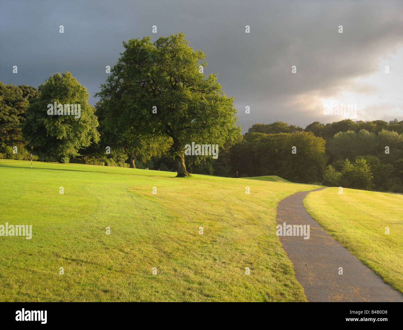 Path through park land passing tree in evening with magical sunlight ...
