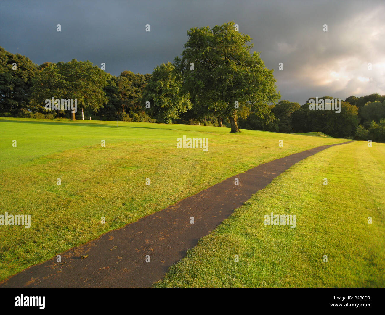Path through park land passing tree in evening with magical sunlight ...
