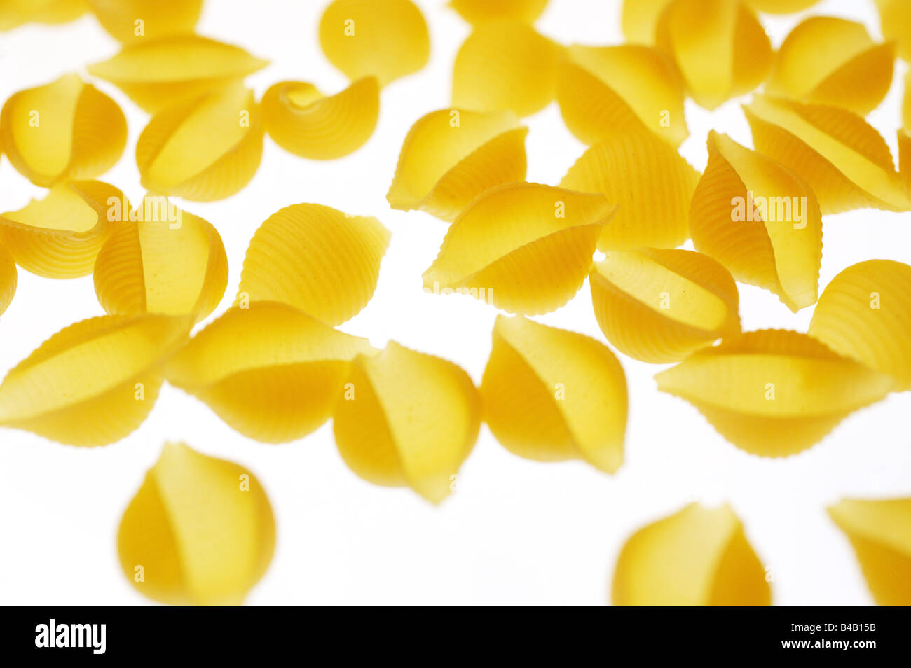 Pasta shells on a white background Stock Photo - Alamy