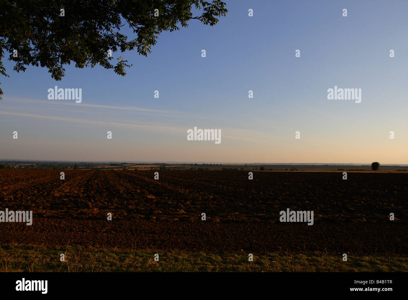 Fenland farm farming hi-res stock photography and images - Alamy