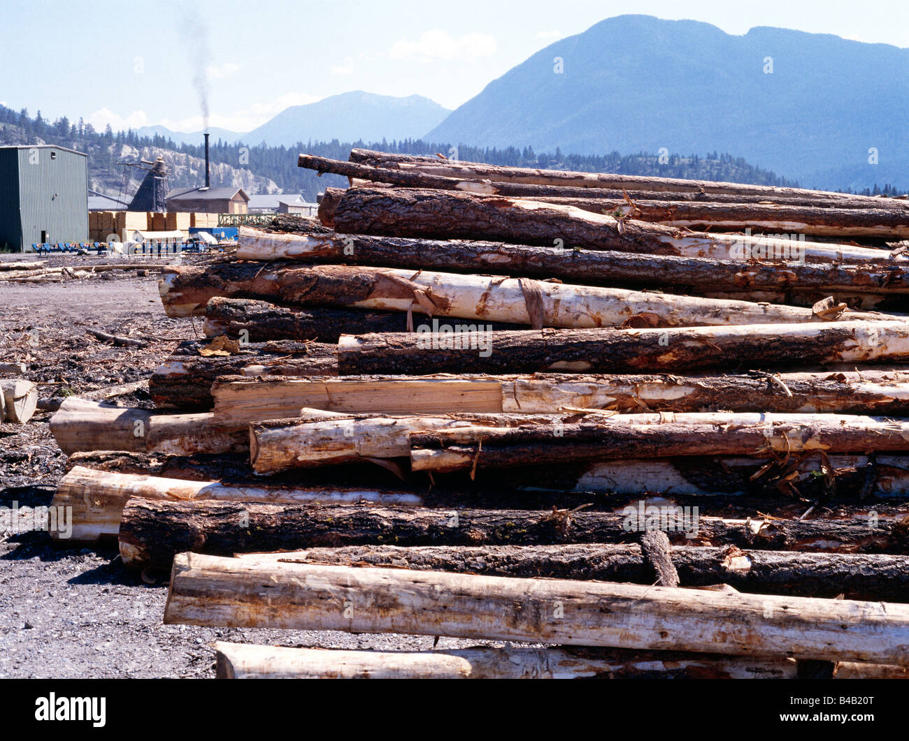 Timber ready for processing Stock Photo - Alamy