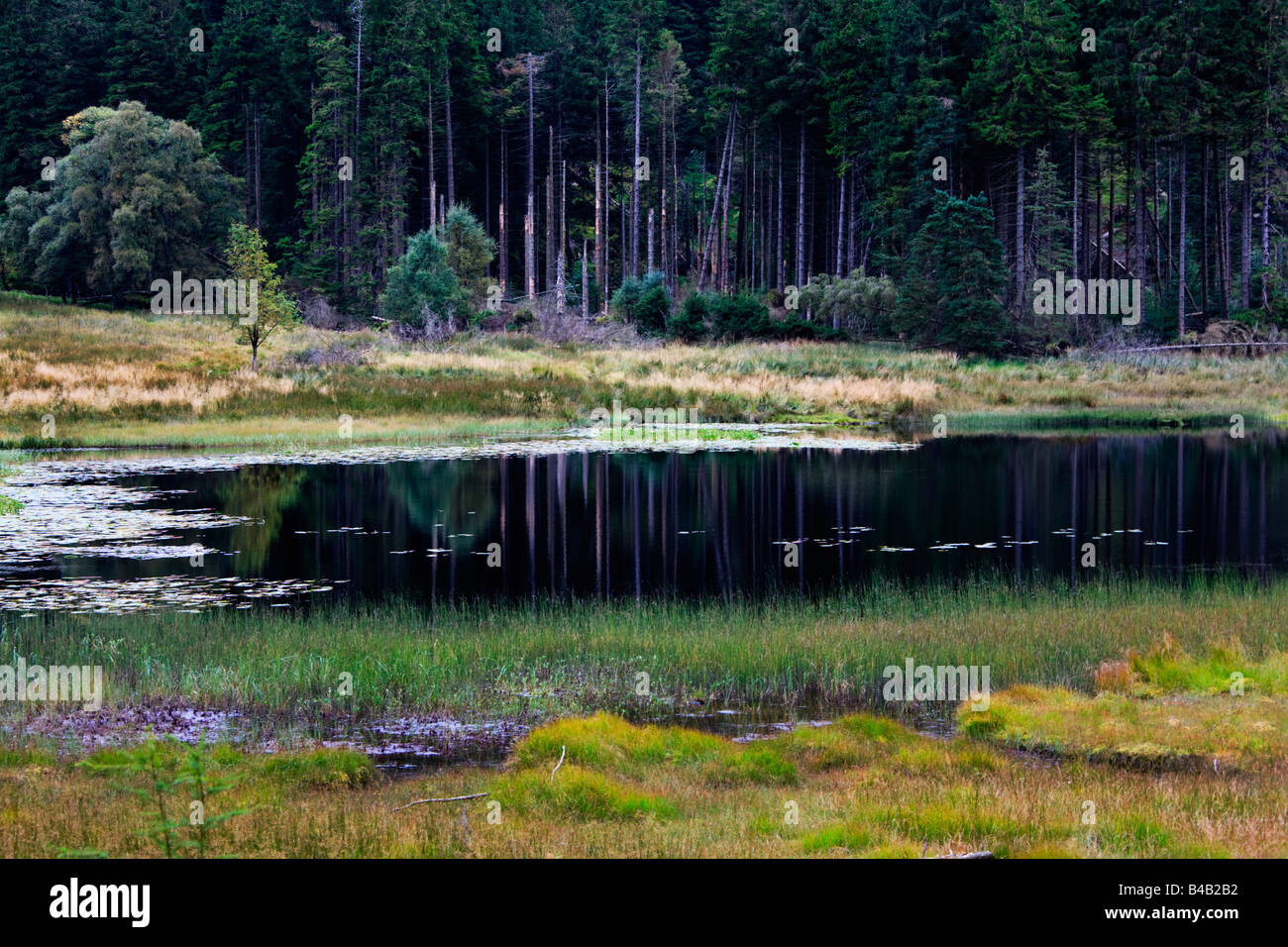 Thirlmere in the lake district hi-res stock photography and images - Alamy