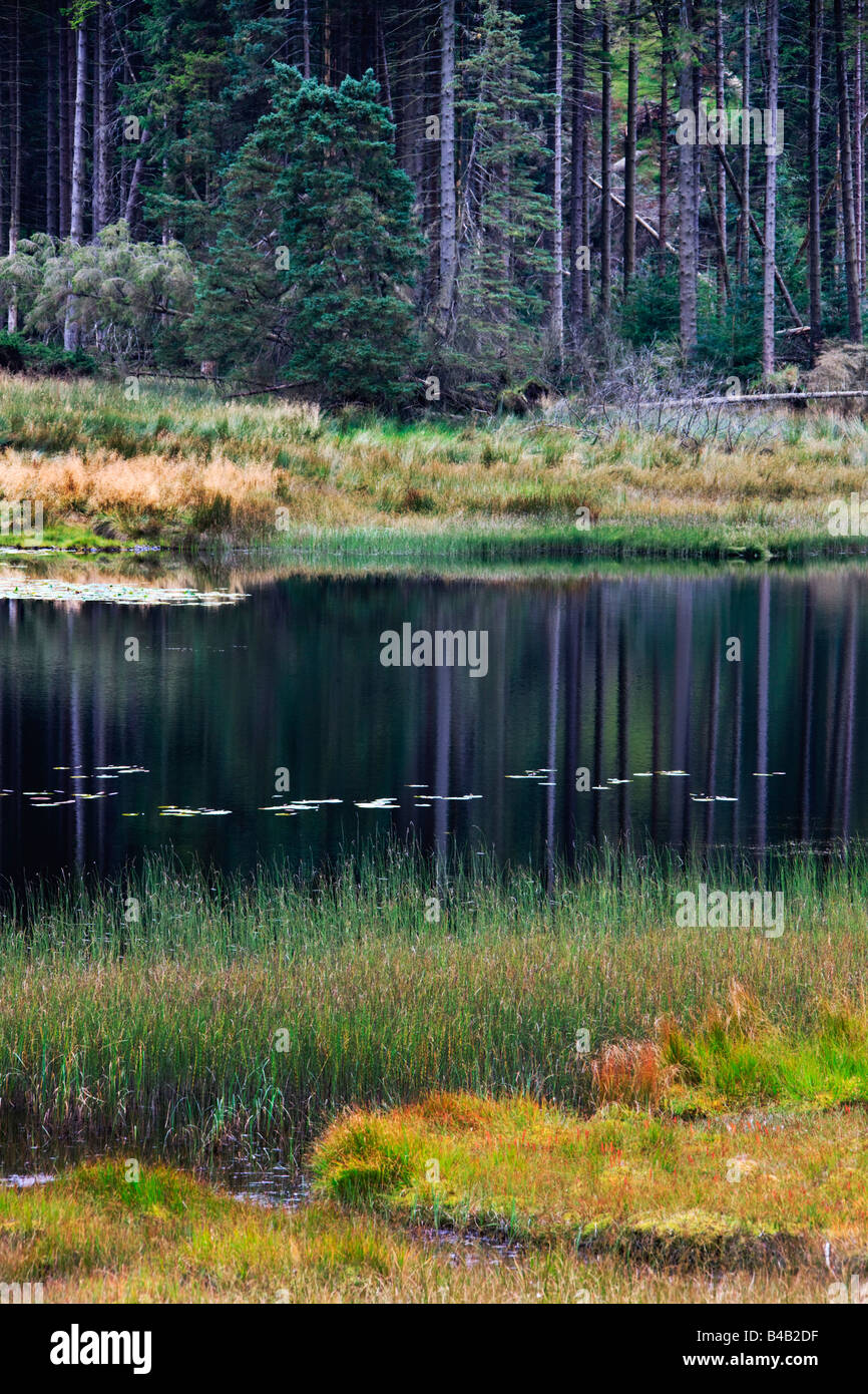 Harrop Tarn A Small Lake High In The Fells Above Thirlmere, 'The Lake ...
