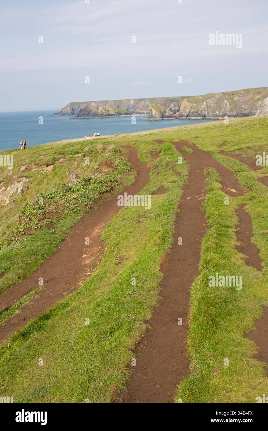 Worn cliff footpath Caerthillian National Nature Reserve The Lizard ...