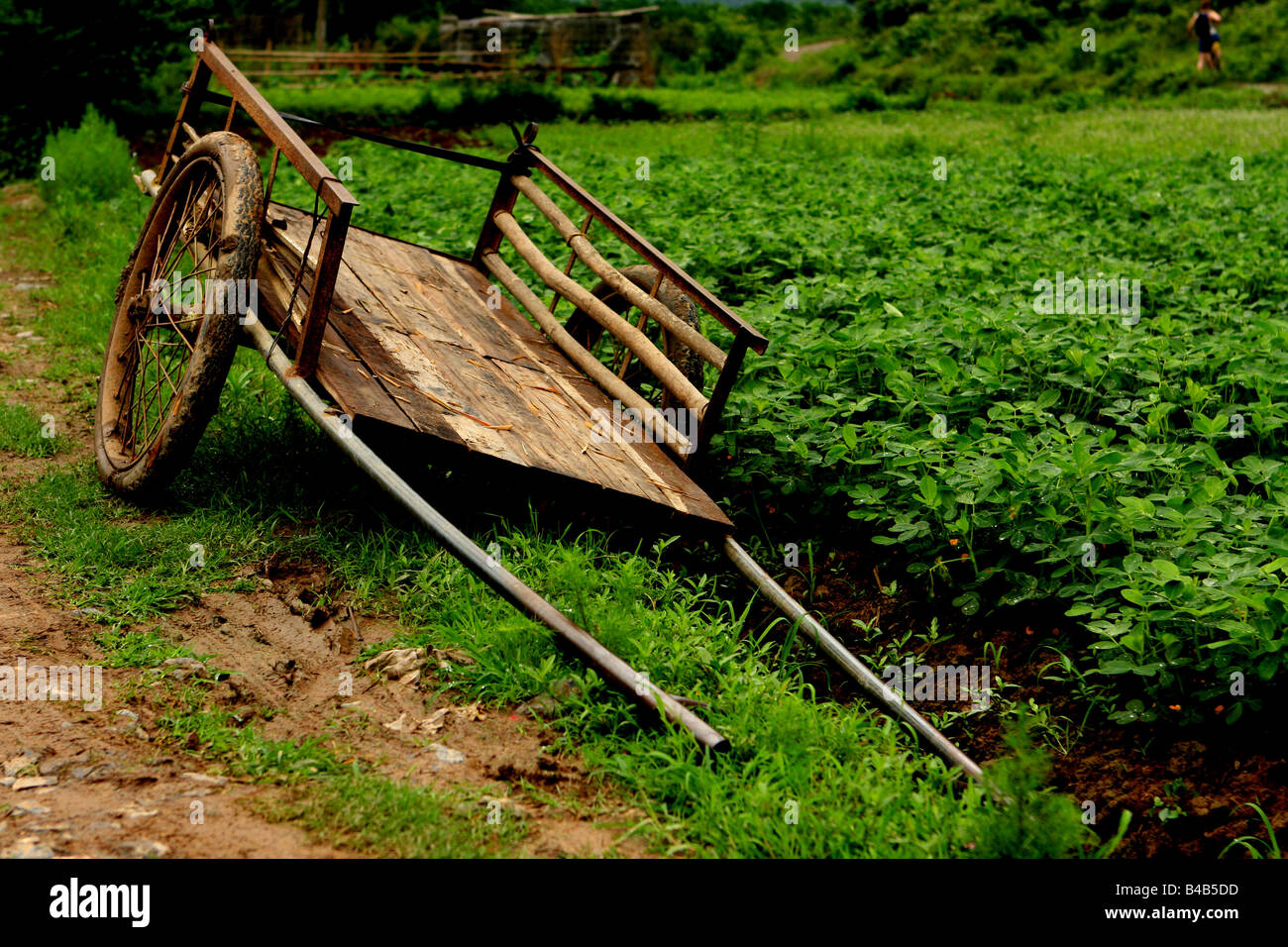 Cart in a field, Yangshuo, China Stock Photo - Alamy