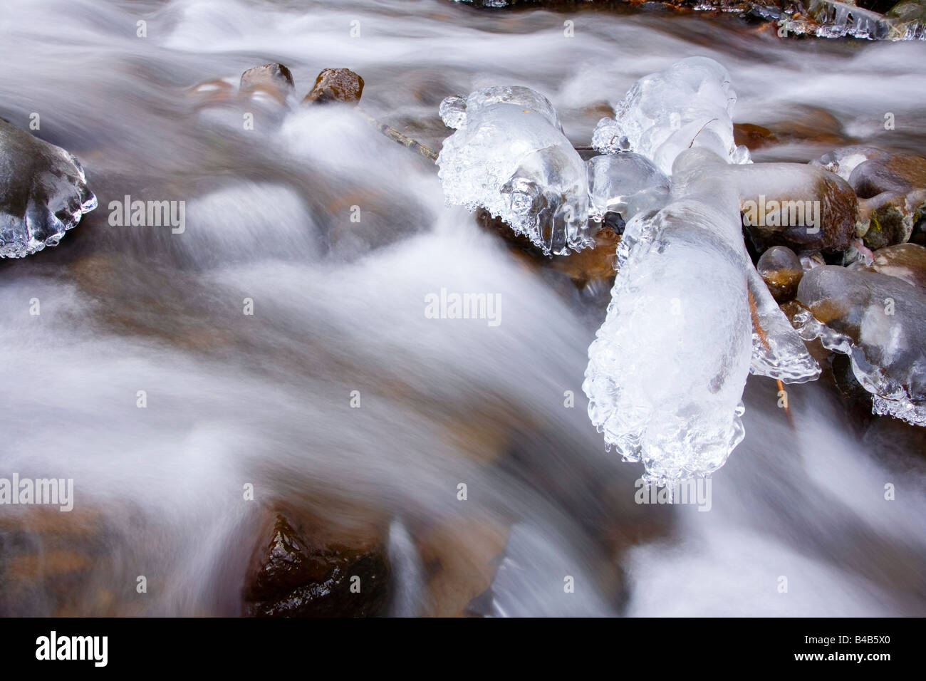 Ice on creek Stock Photo - Alamy