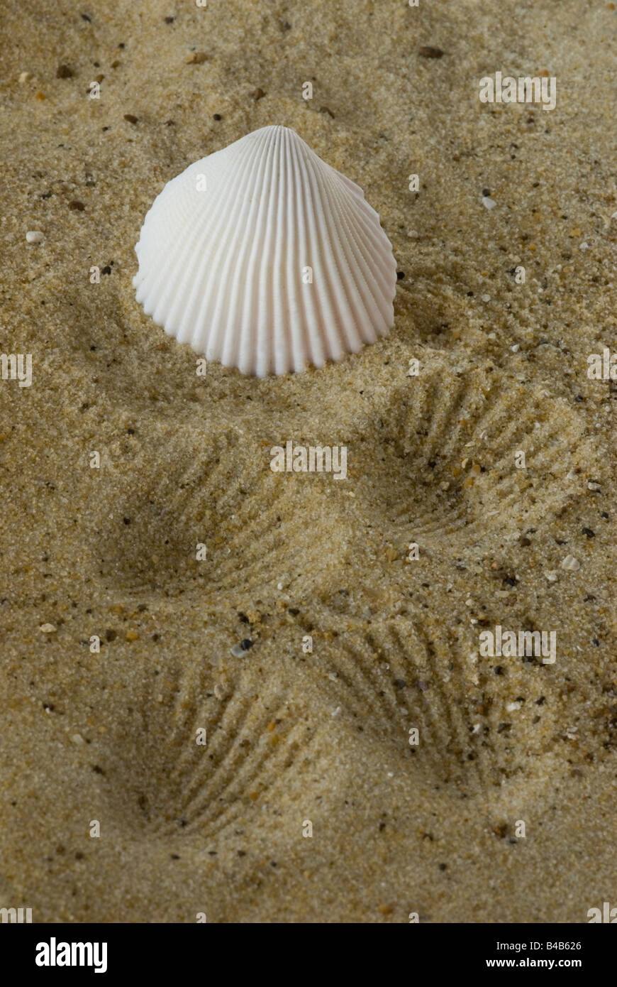 We are grains of sand hi-res stock photography and images - Alamy