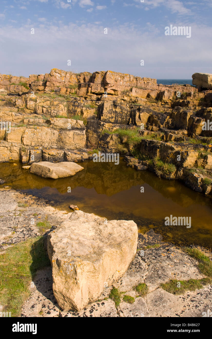 The rocky coast at Beadnell Northumberland England Stock Photo - Alamy