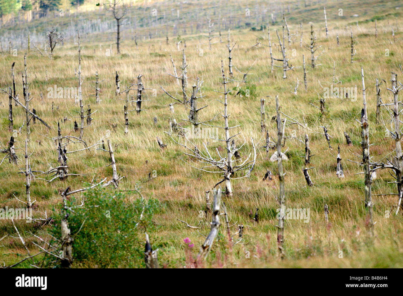 Dead mountains hi-res stock photography and images - Alamy