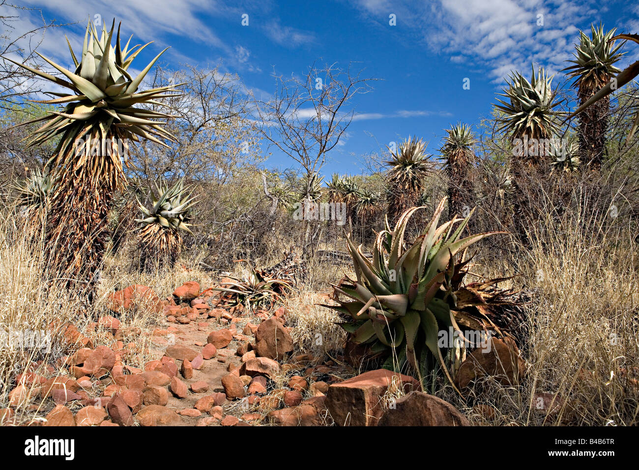 Nature trail in Waterberg Plateau Park area Namibia Stock Photo - Alamy