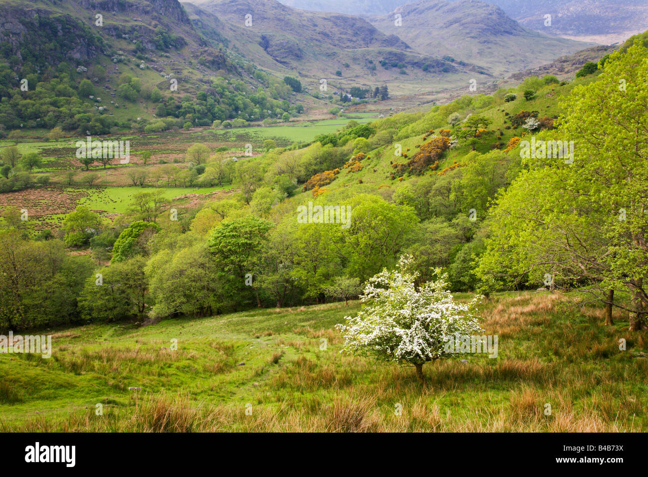 Wales valley spring hi-res stock photography and images - Alamy