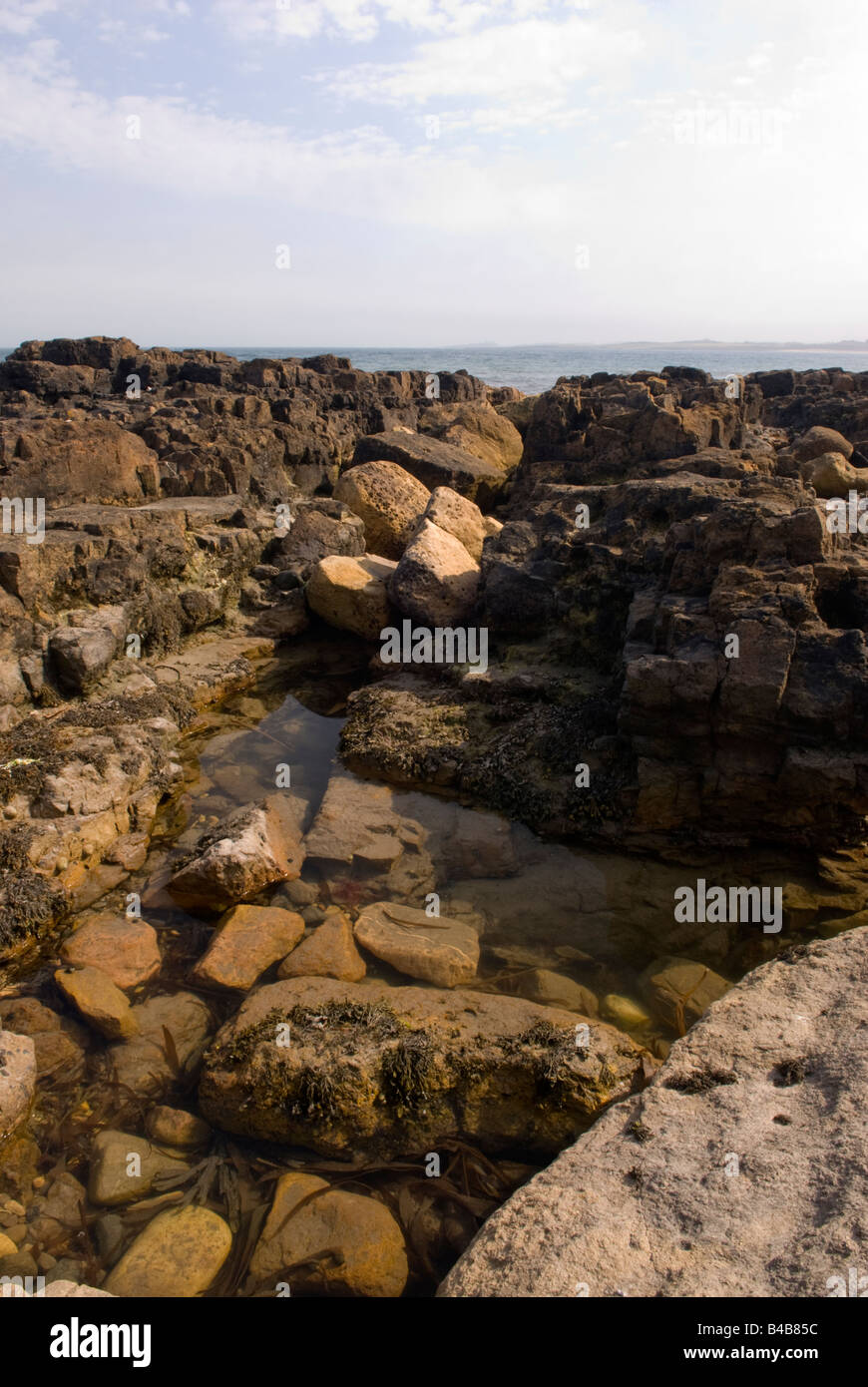 The rocky coast at Beadnell Northumberland England Stock Photo - Alamy