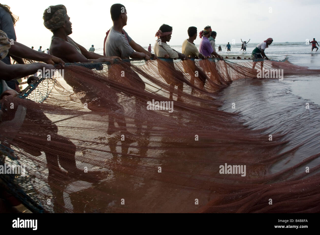 The fishermen engaged in fishing activities at the beach of Digha, West ...