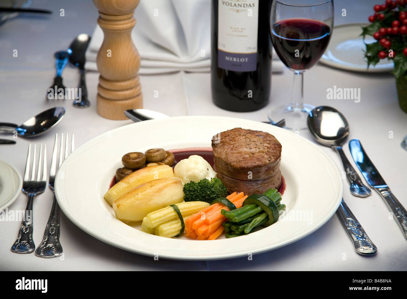 Fillet of roast beef Stock Photo - Alamy