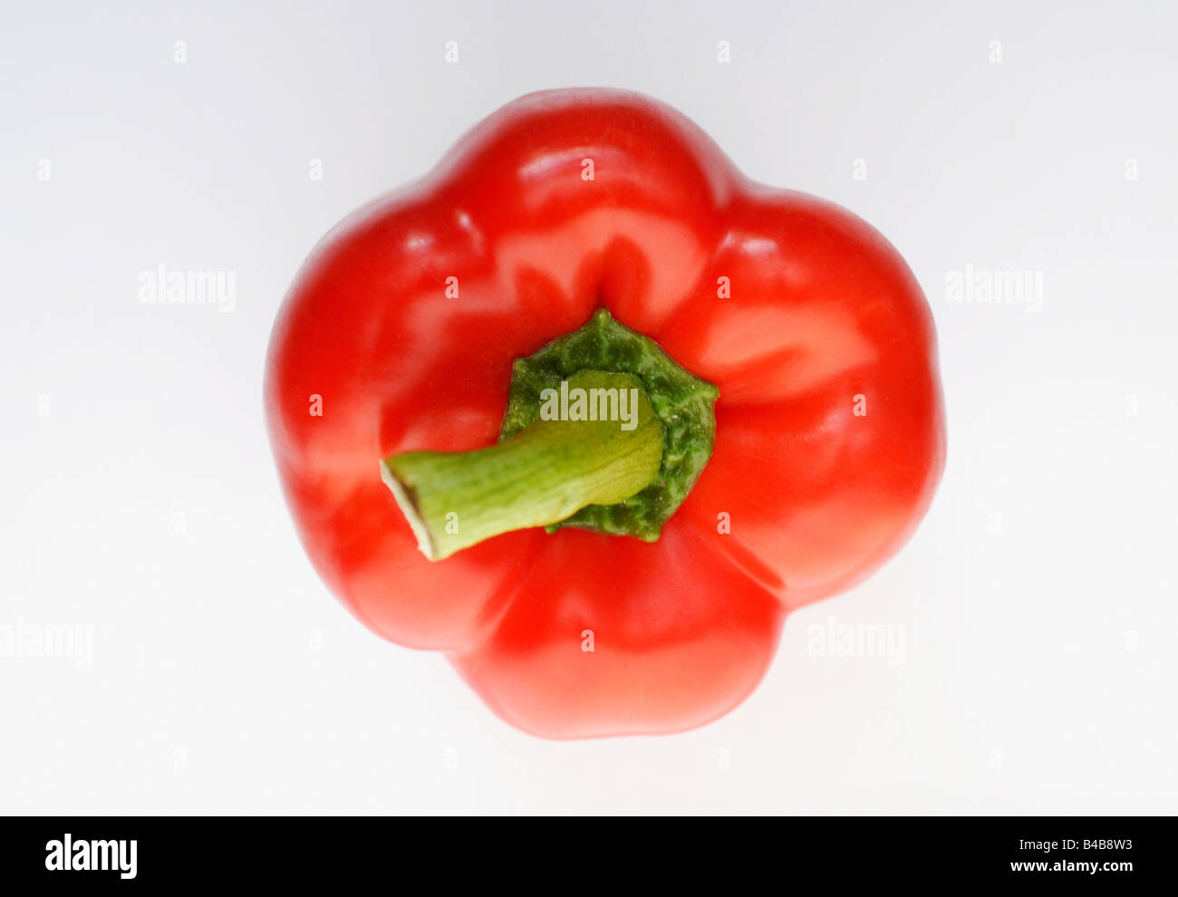 Red pepper paprika Stock Photo - Alamy