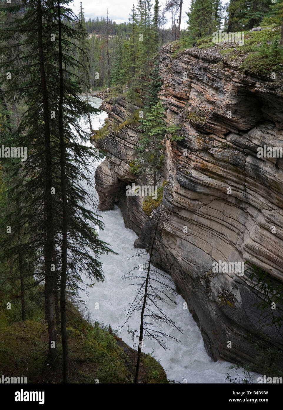 athabasca falls - view into the gorge - jasper national park, alberta ...