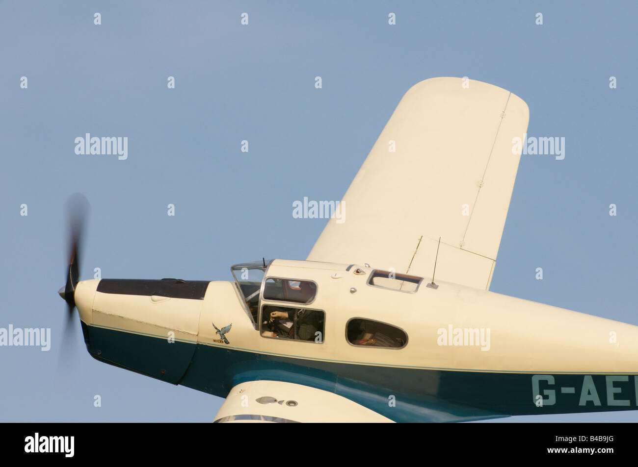 Miles falcon hi-res stock photography and images - Alamy
