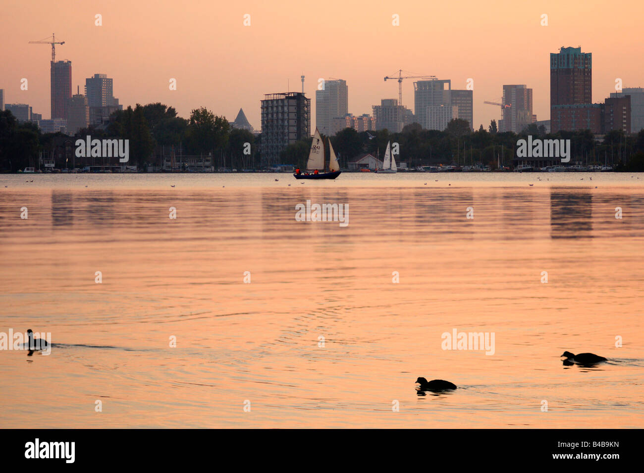 Pink evening mellow tranquil light cityscape Rotterdam skyline over ...