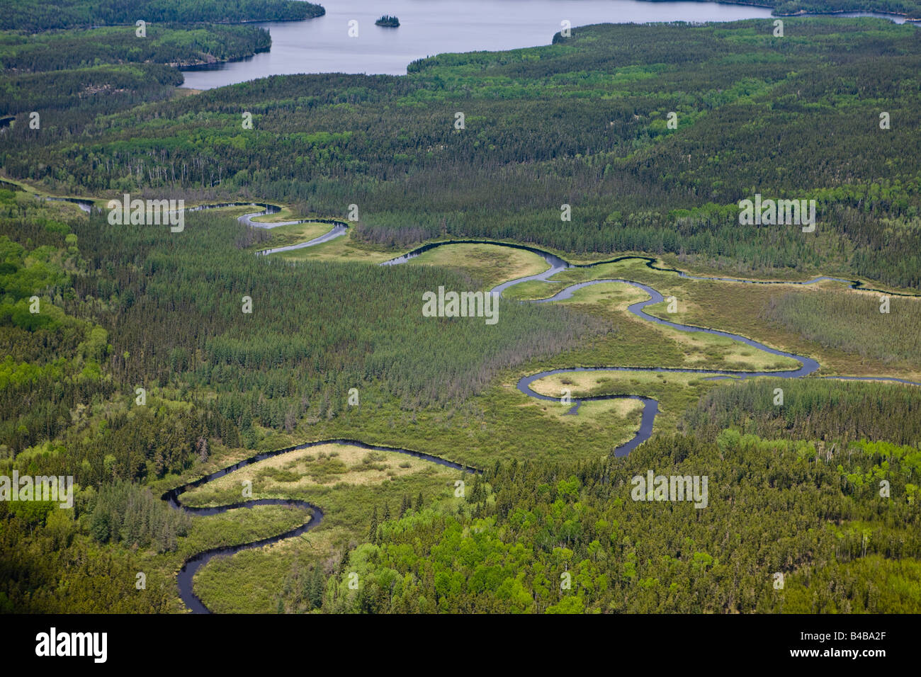 Aerial view of lakes, Islands and forest of Northern Ontario, Red Lake ...