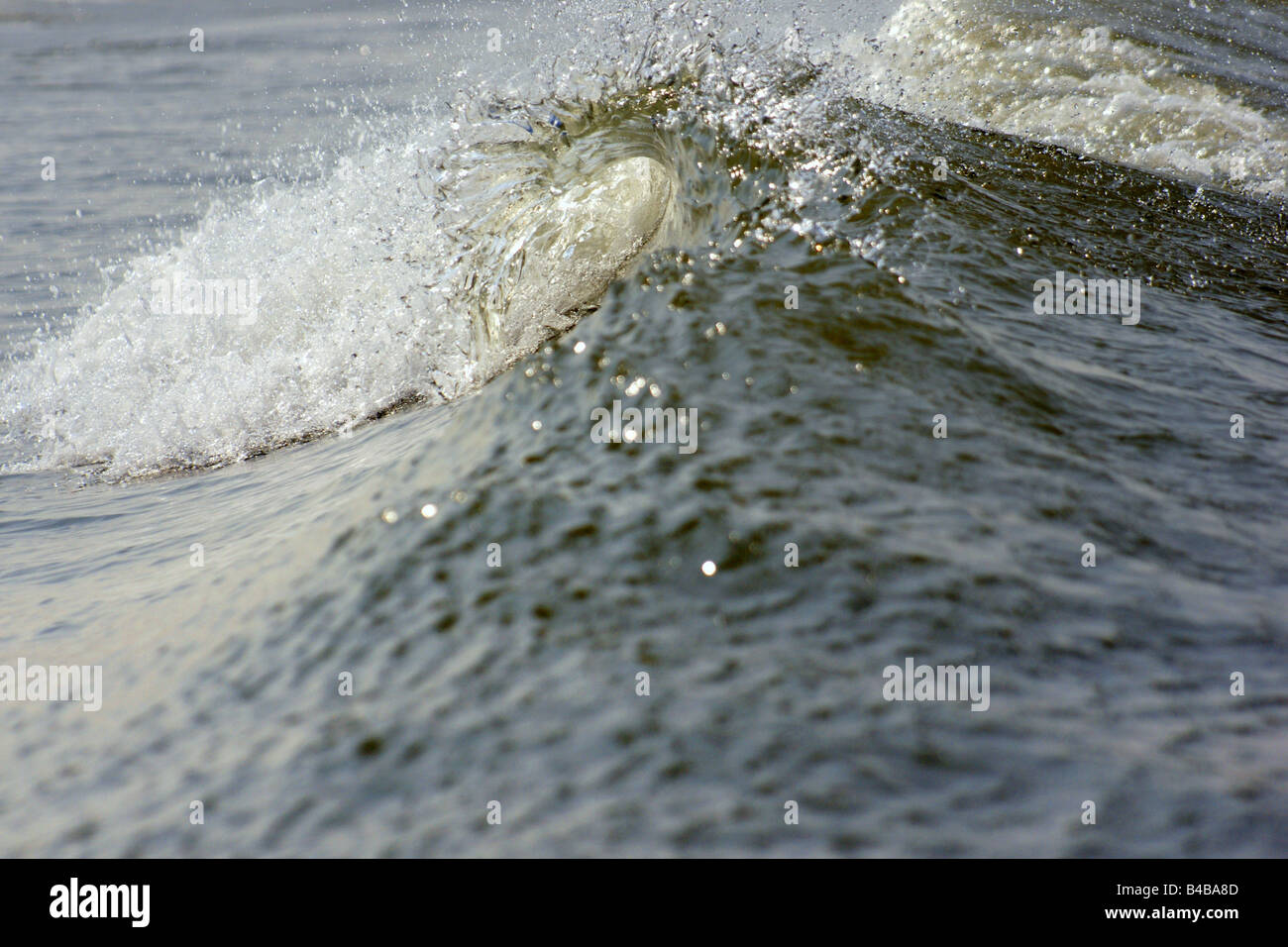 Wave making hi-res stock photography and images - Alamy