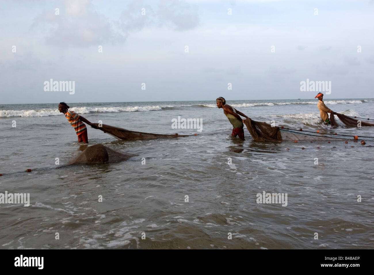 The fishermen engaged in fishing activities at the beach of Digha, West ...