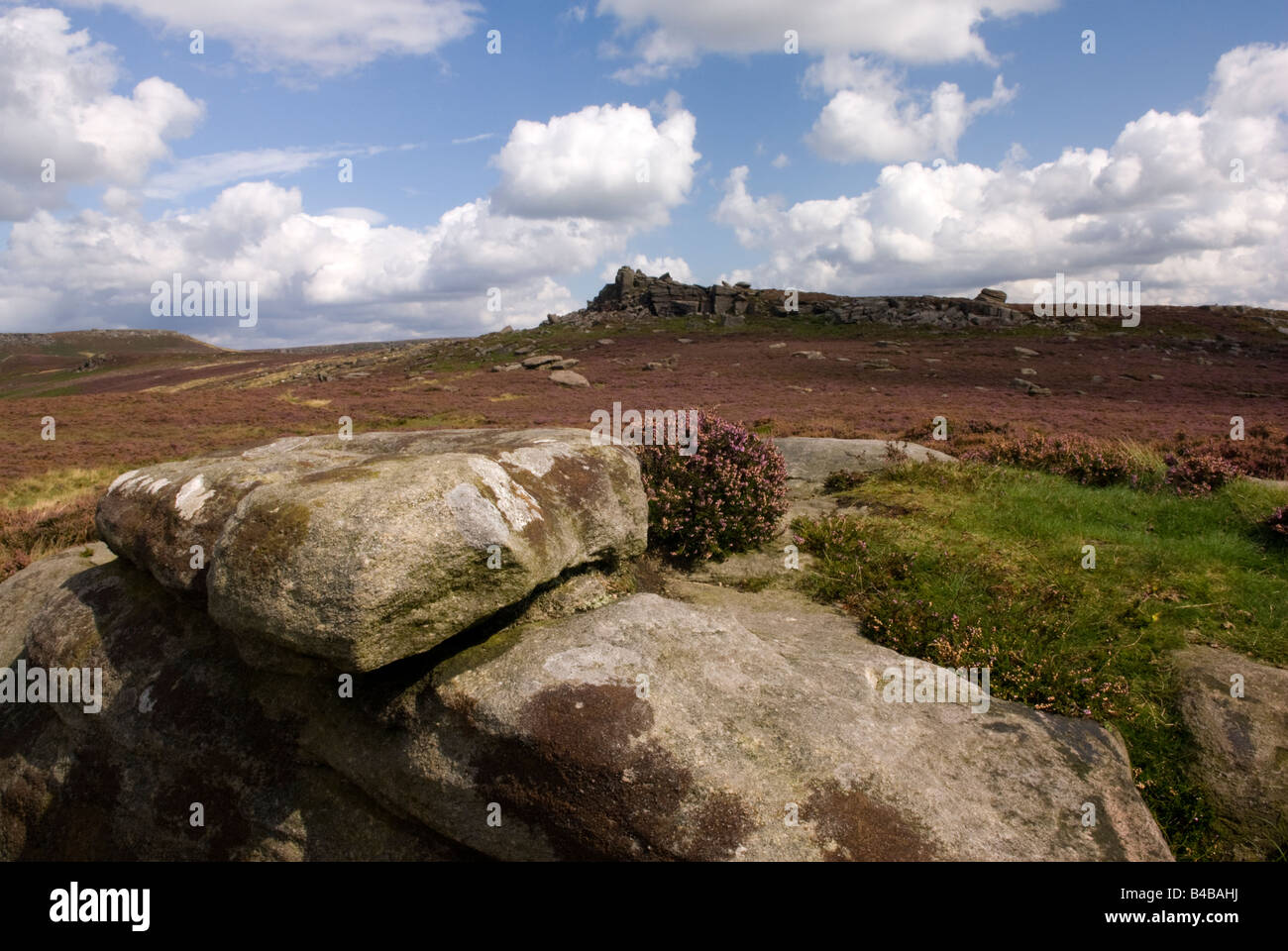 Winyard park hi-res stock photography and images - Alamy