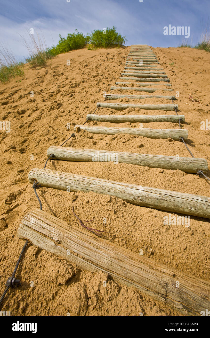 Log steps along the Spirit Sands Trail, Spruce Woods Provincial Park ...