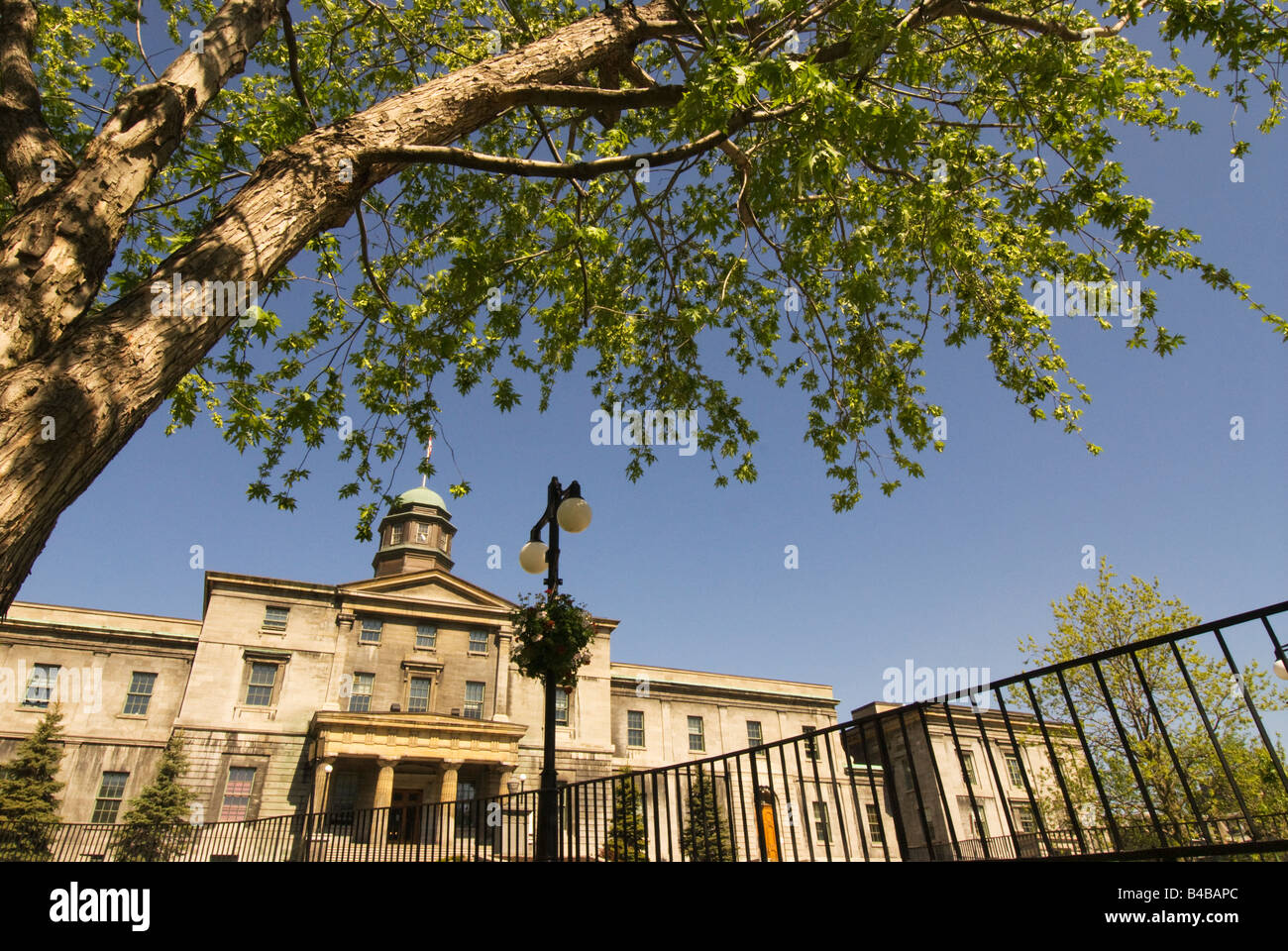 Campus mcgill university hi-res stock photography and images - Alamy