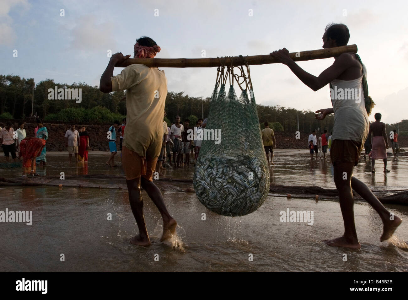 Two fishermen carriying fishes for selling those in local market Stock ...