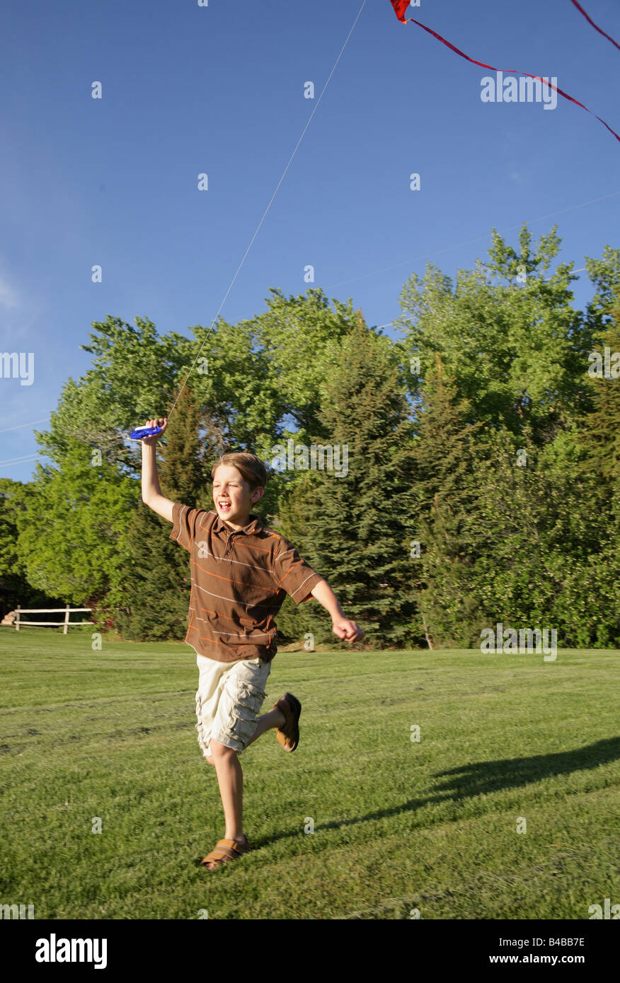 young boy flying a kite at a park Stock Photo - Alamy