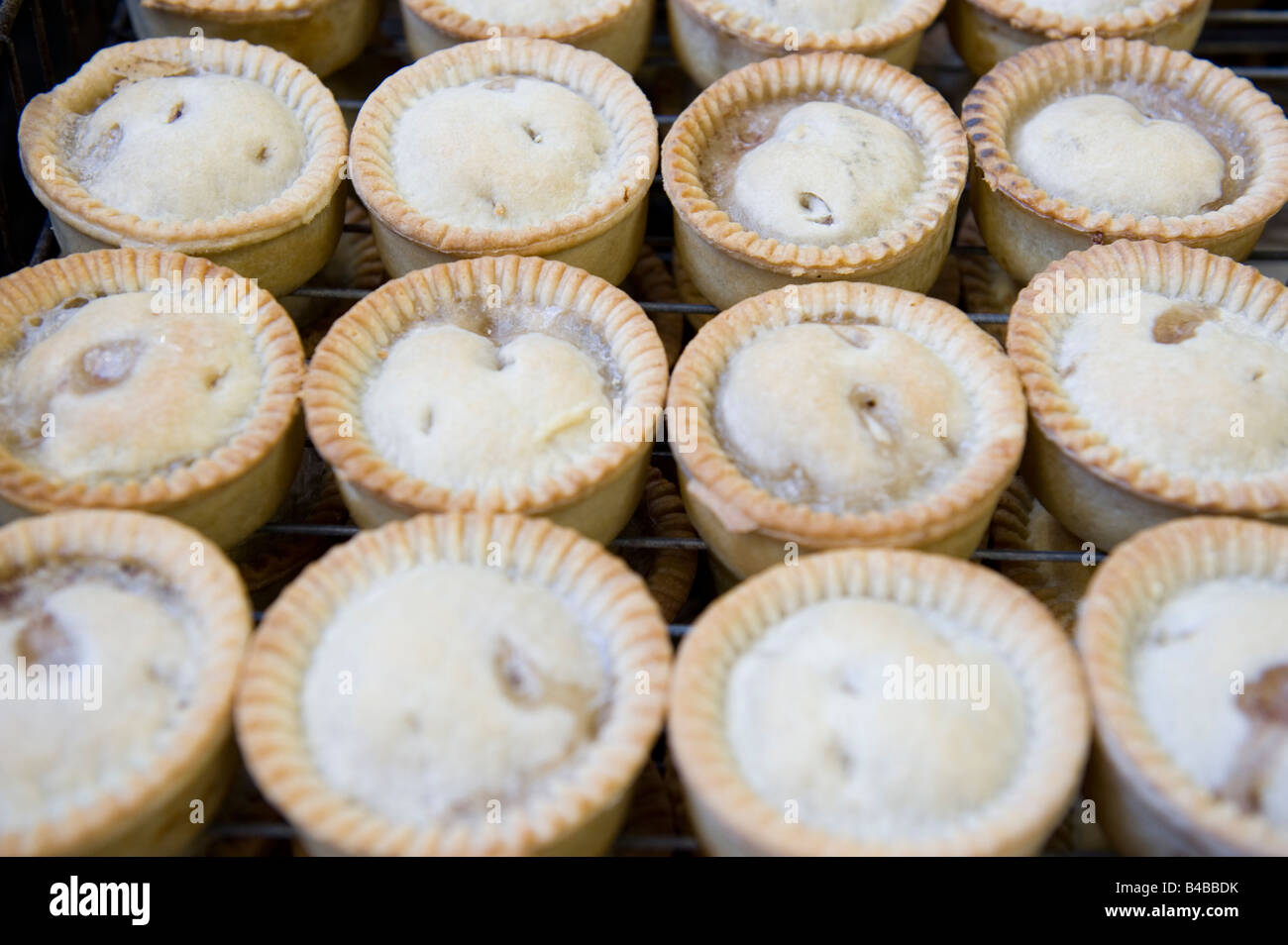 Pies in a pie factory Stock Photo - Alamy