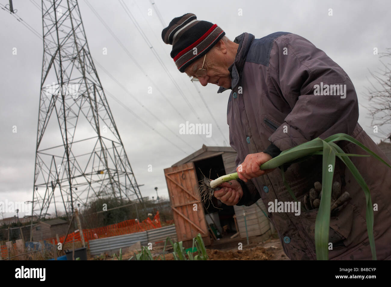 Pensioner Jim Burrows cuts home-grown leaks by his shed overlooked by a giant electricity pylon ...