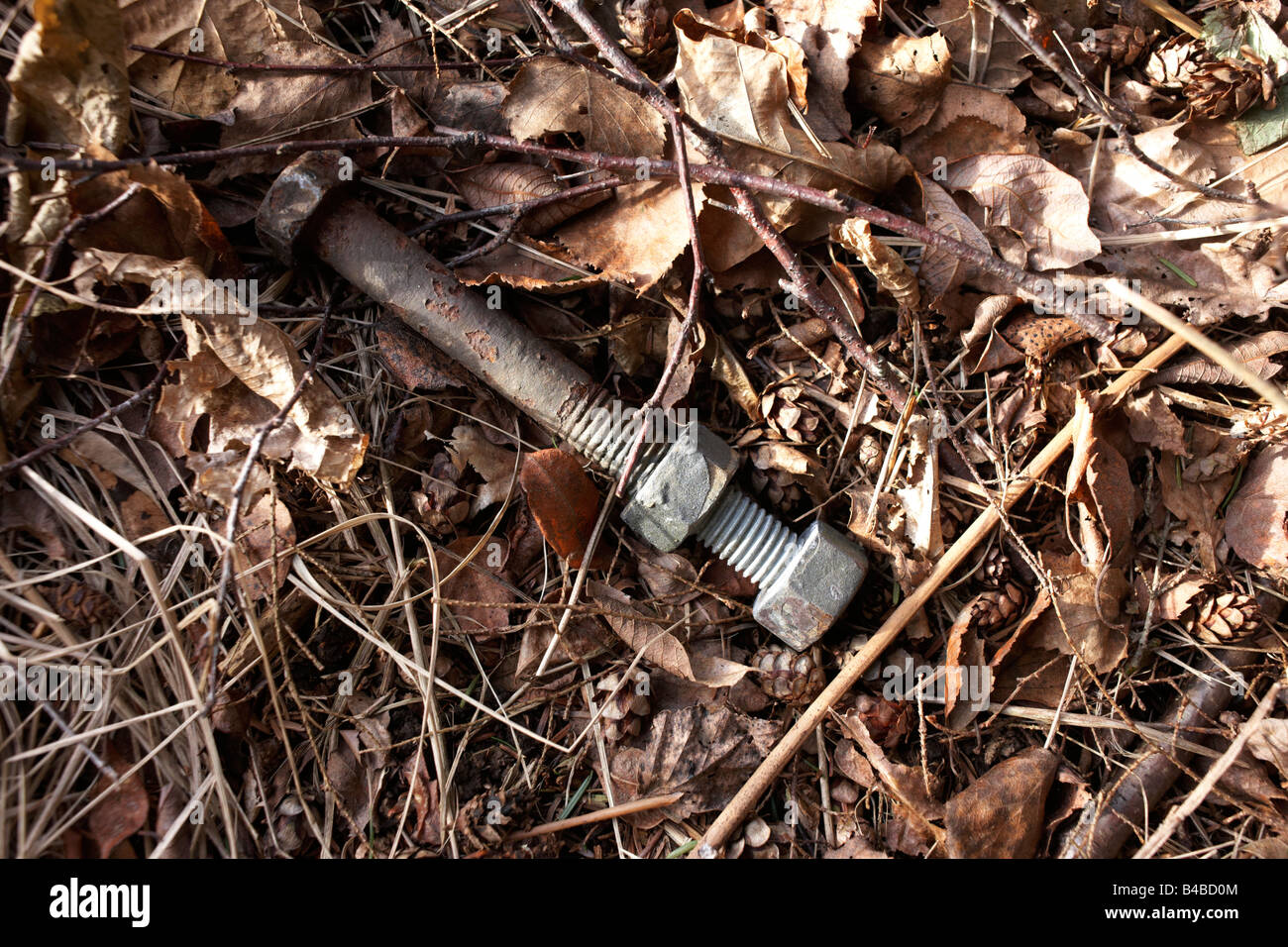 Dropped during construction of electricity pylons, a bolt and its nut ...