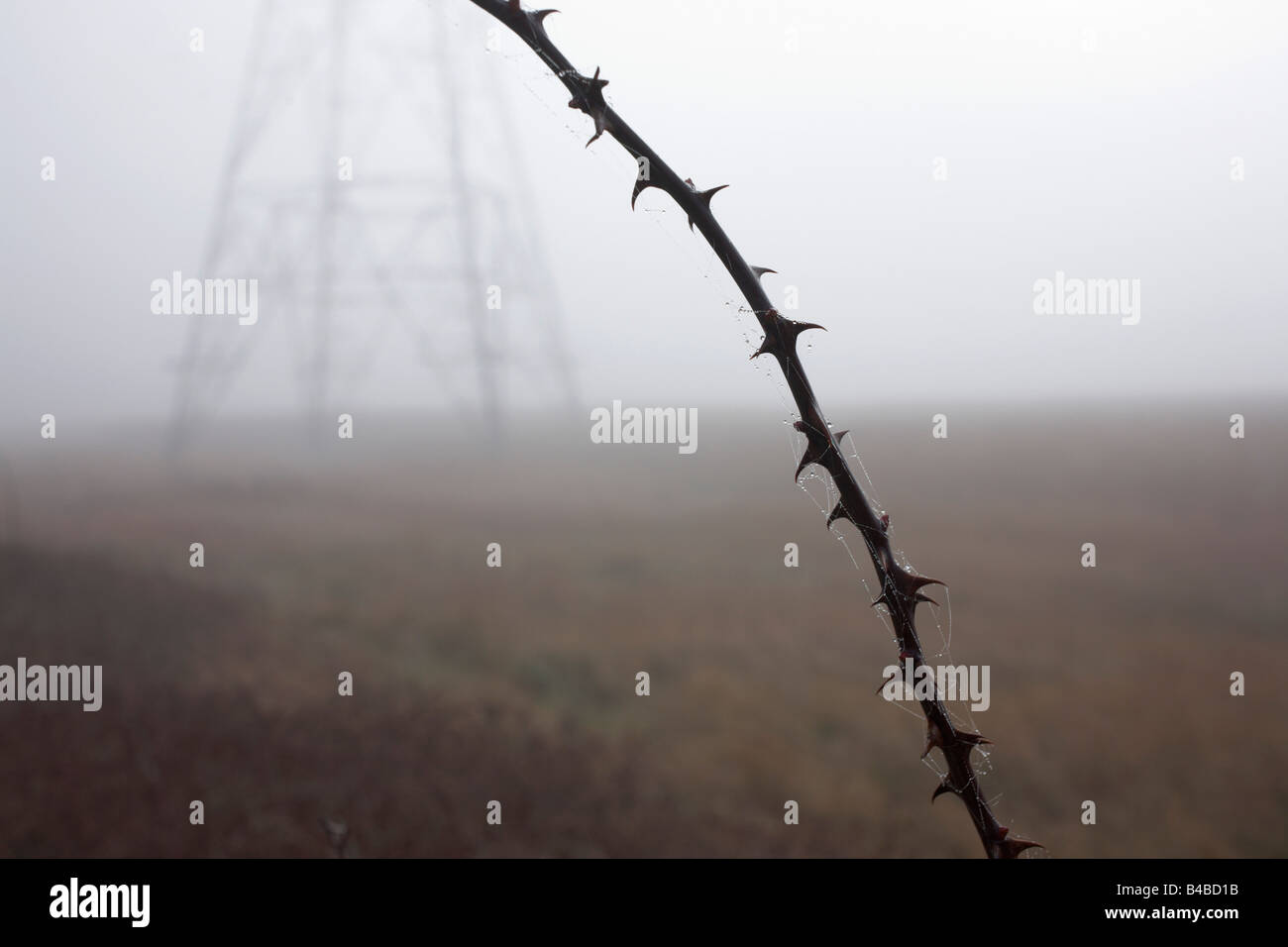Swanscombe kent hi-res stock photography and images - Alamy