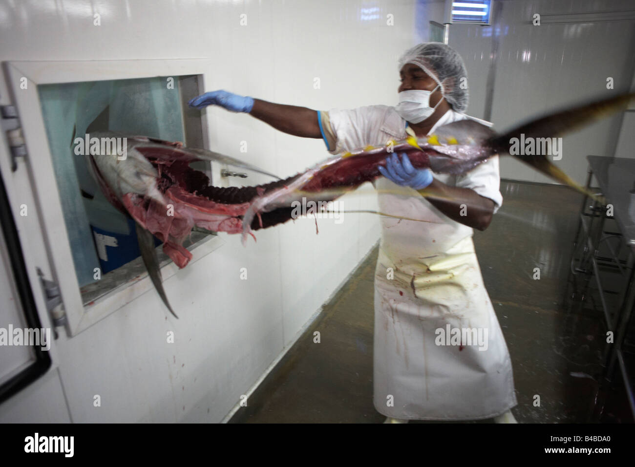 Industrial Tuna Fisheries High Resolution Stock Photography and Images ...