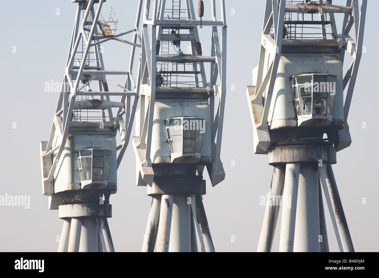 Three bygone era dockside cranes stand motionless in early morning fog ...