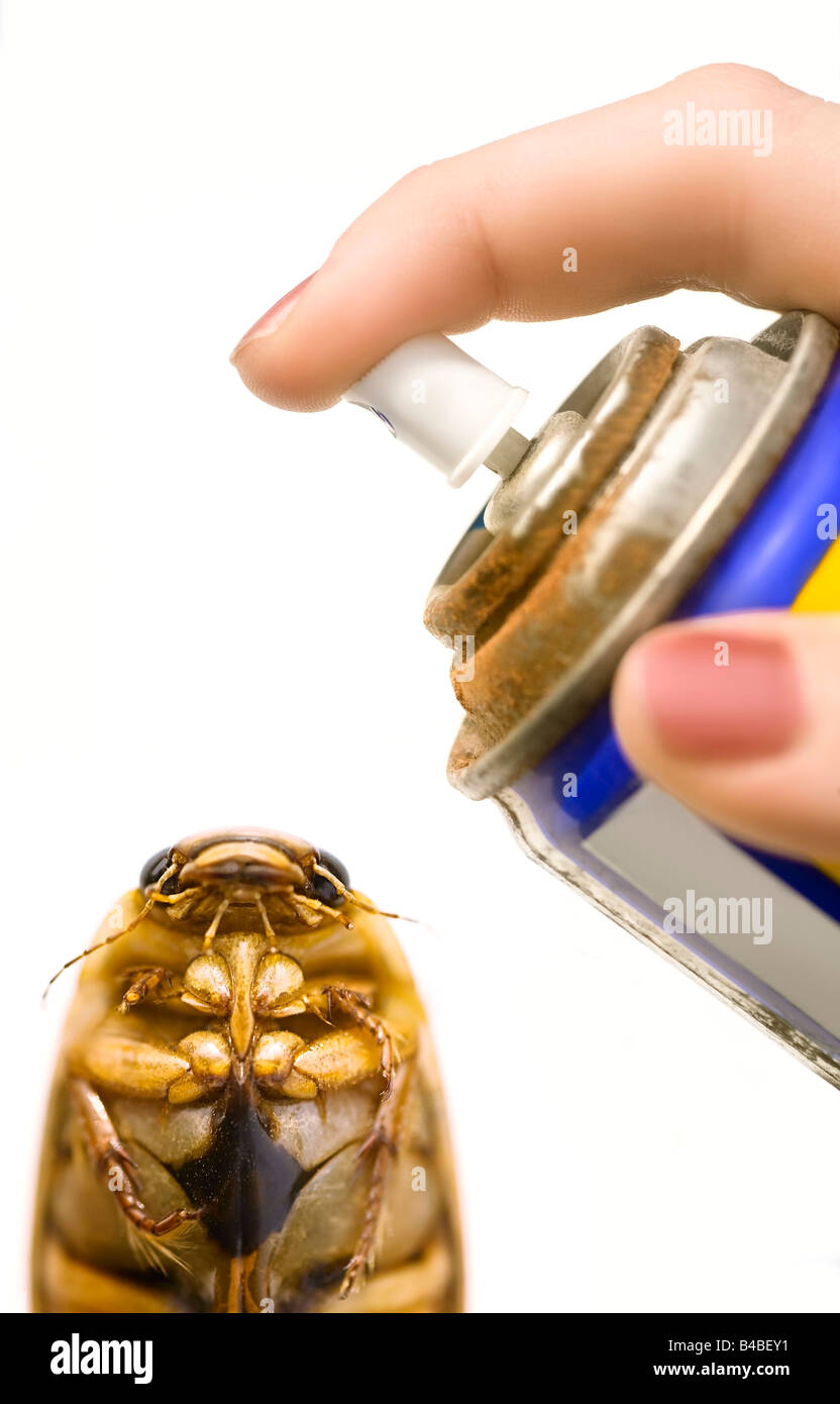 Sprayed cans hi-res stock photography and images - Alamy