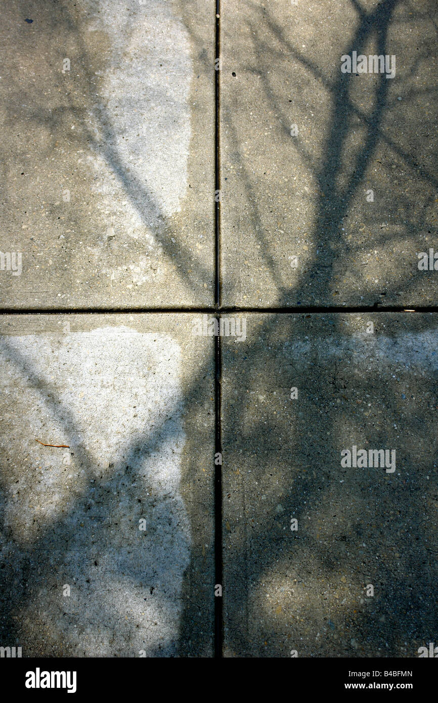 Tree juxtaposition hi-res stock photography and images - Alamy