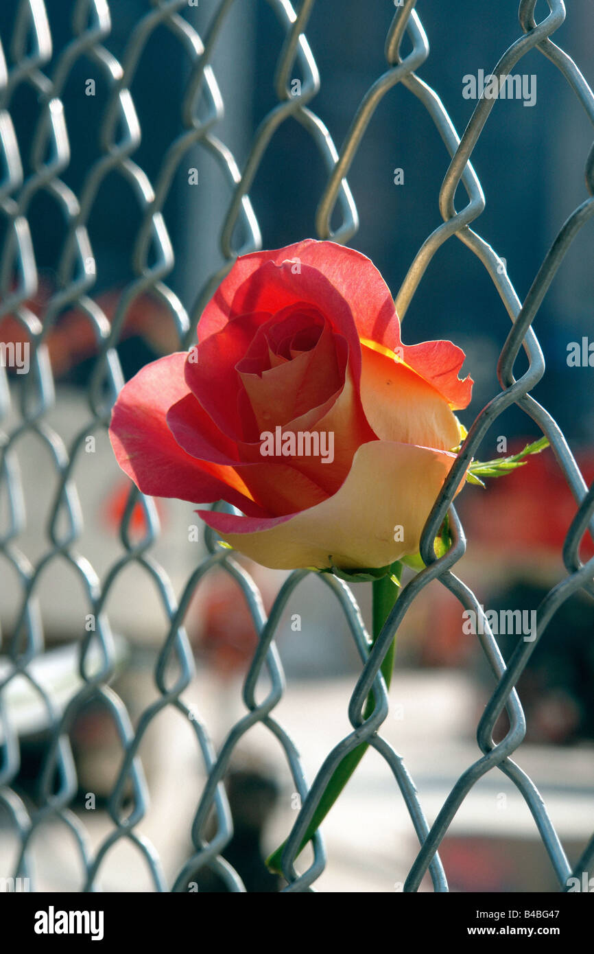 911 memorial fence hi-res stock photography and images - Alamy