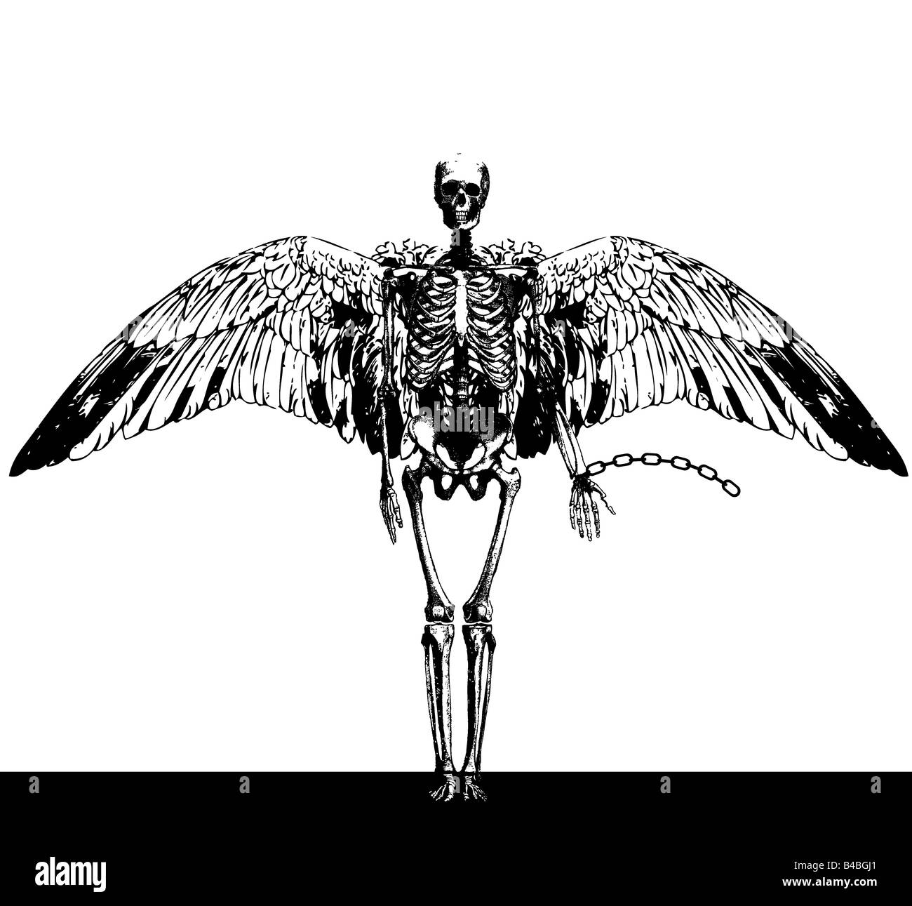 Dead skeletons Black and White Stock Photos & Images - Alamy