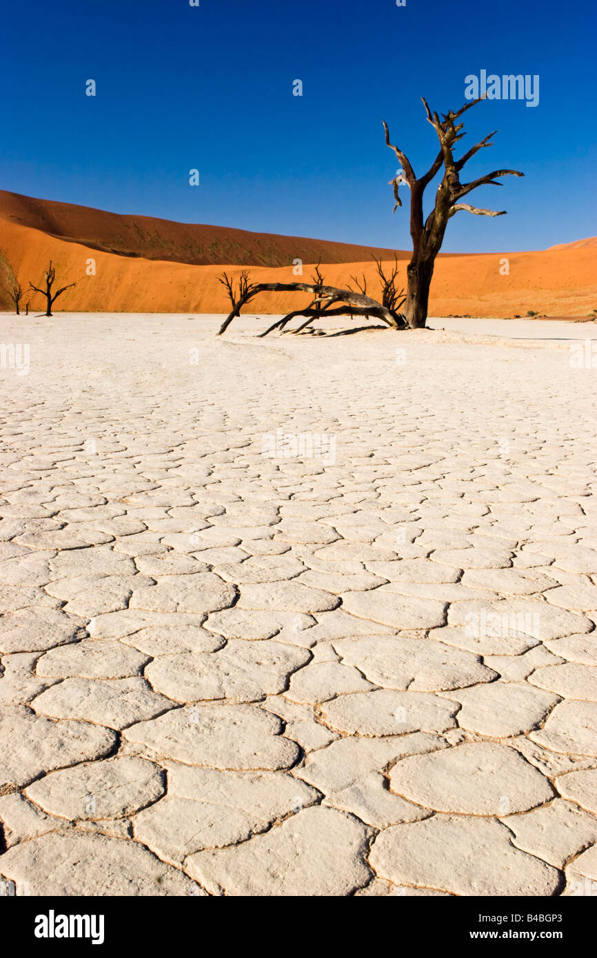 Namibia climate change hi-res stock photography and images - Alamy