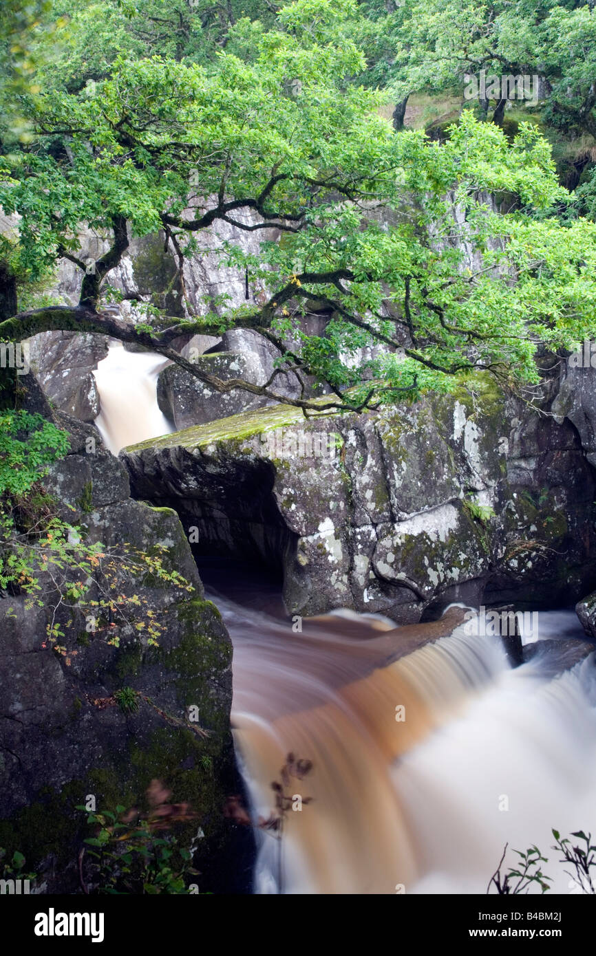 Tree overhanging the Bracklinn Falls near Callander Scotland Stock ...