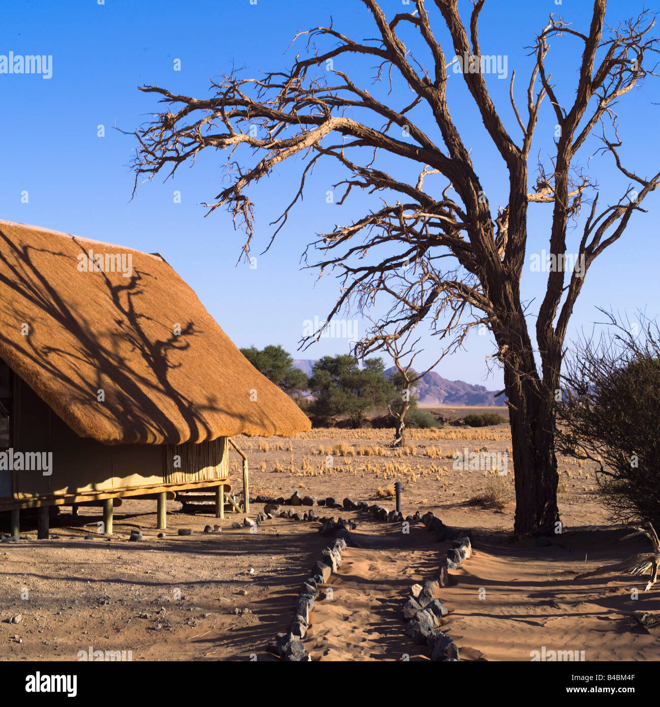 Hut, Kalahari Desert, Namibia, Africa Stock Photo - Alamy