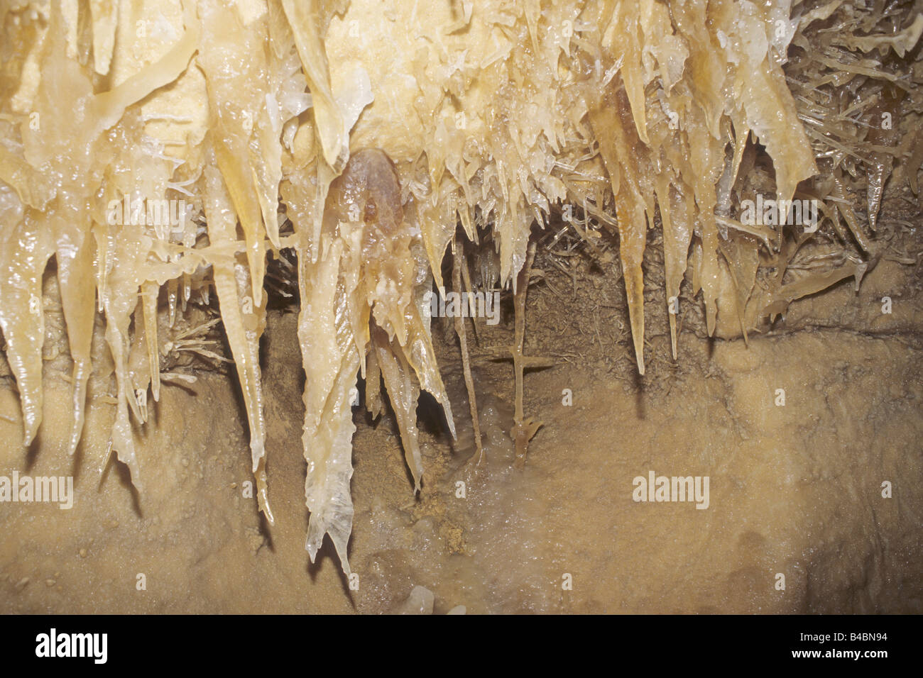 Caverns of Sonora, helictites and live stalactites Stock Photo - Alamy