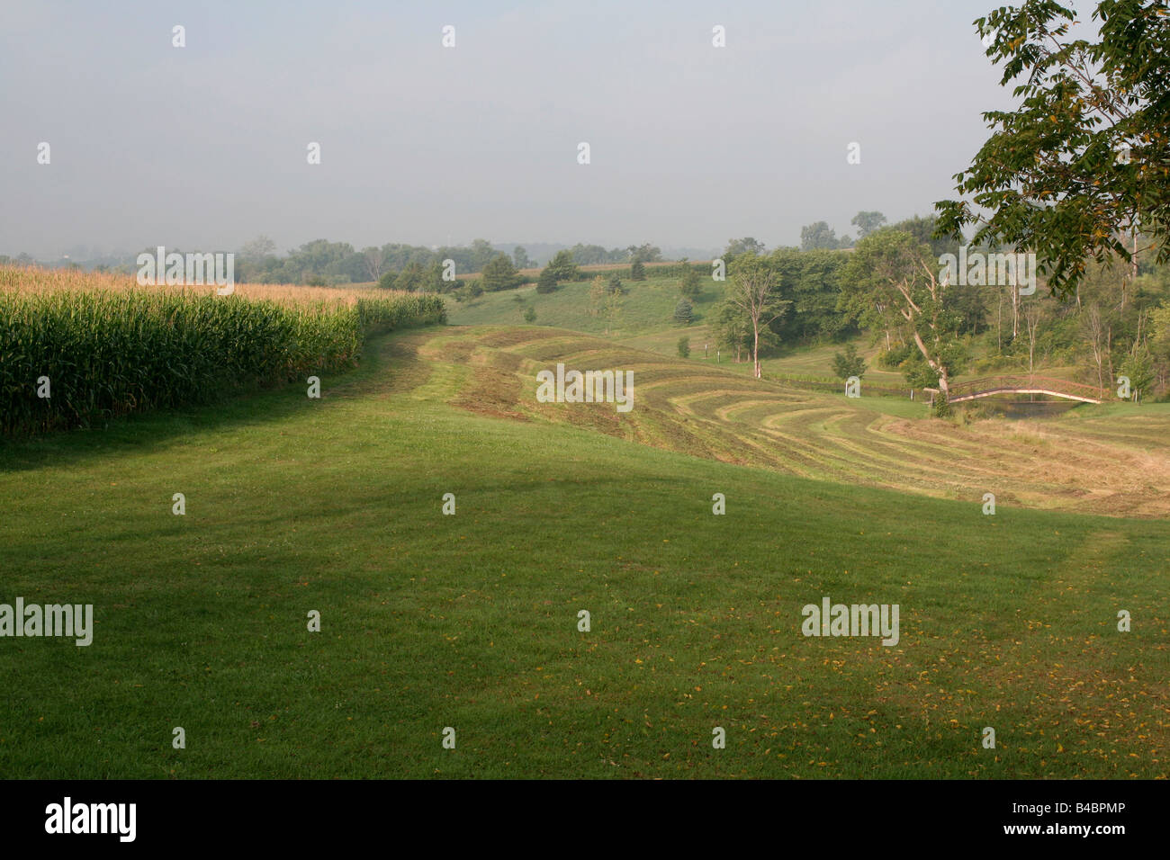 Newly mown hay hi-res stock photography and images - Alamy