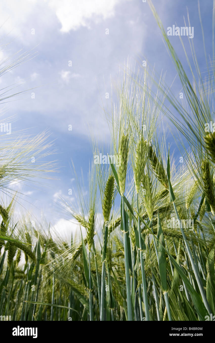 Worm s eye view hi-res stock photography and images - Alamy