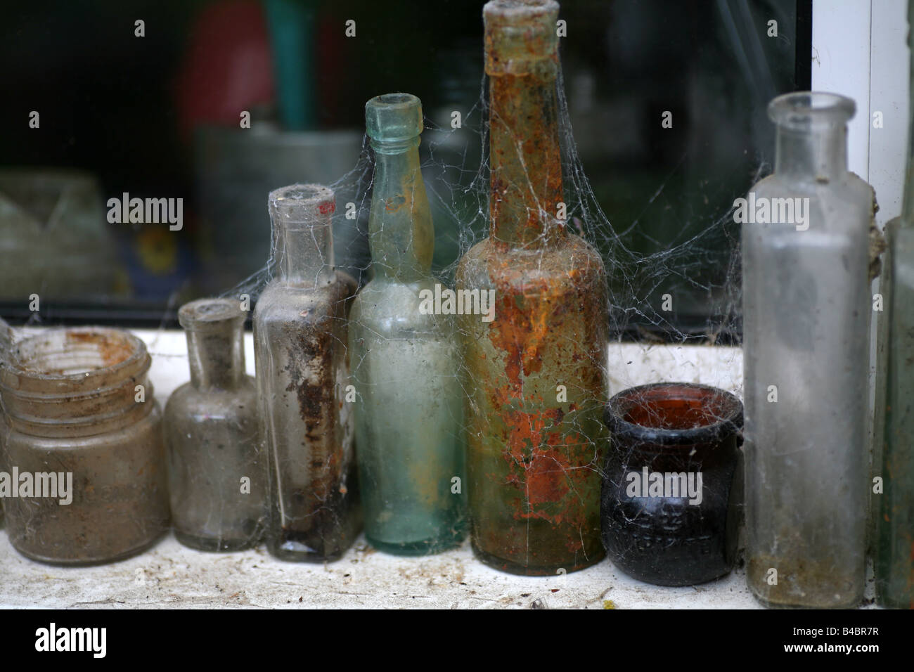Spider in container hi-res stock photography and images - Alamy