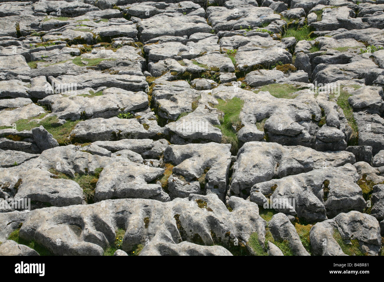 Clints and grikes in limestone pavement at the top of Malham Cove ...