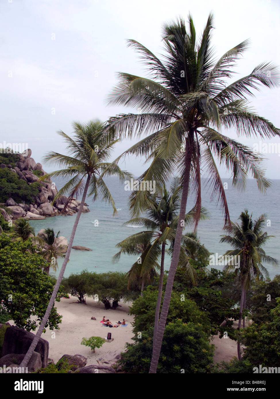 Women sunbathing at the beach hi-res stock photography and images - Alamy